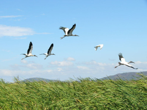 Package reservation - Adventure Inn Hotel, Costa Rica