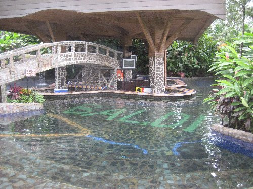 Arenal Volcano / Baldi Hot Springs or Los Lagos Hot Springs tour ...